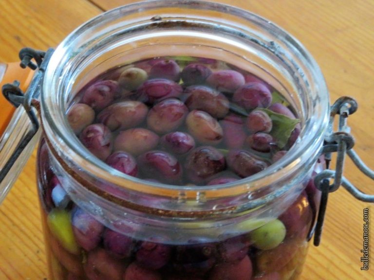 Tout savoir sur la conservation des olives - Le guide sur la ...